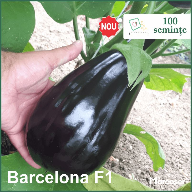 Seminte profesionale de legume la ambalaje de 100 de seminte