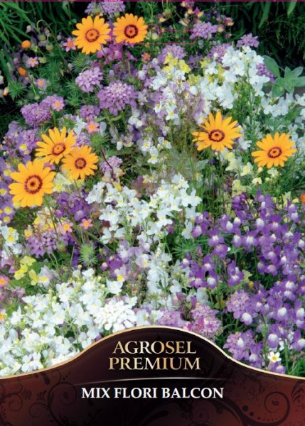 Seminte de flori hobby