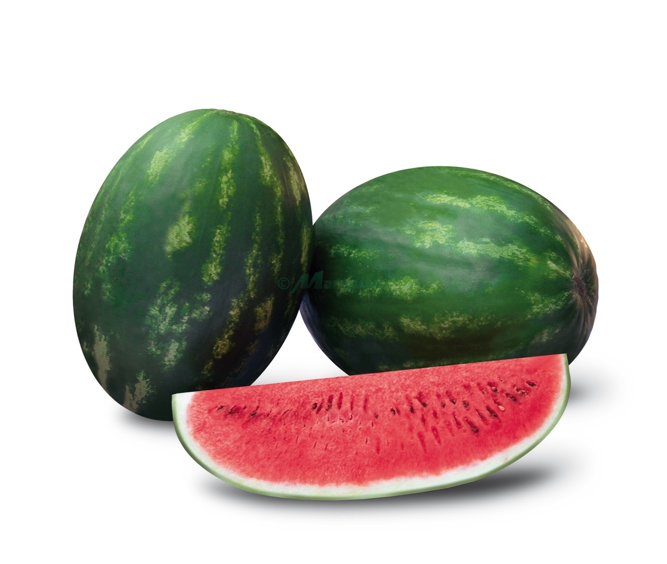 Seminte profesionale de pepeni verzi - Lubenita