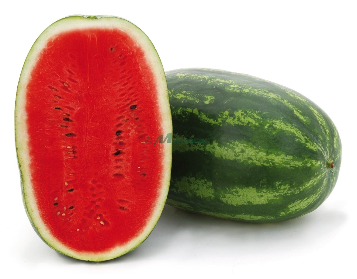 Seminte profesionale de pepeni verzi - Lubenita