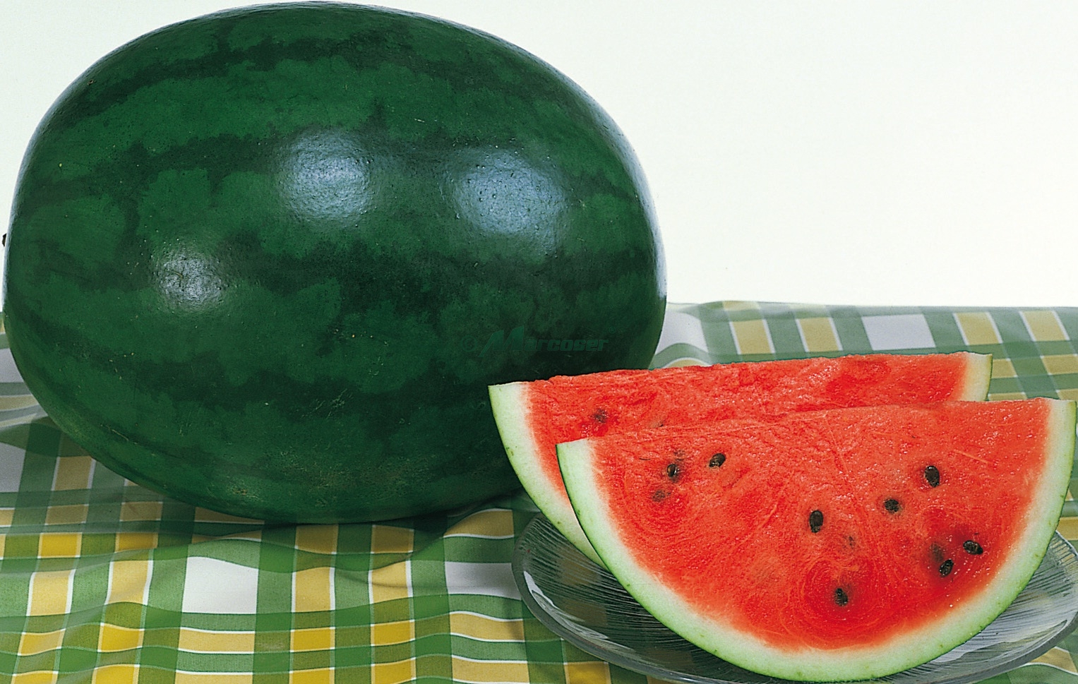 Seminte profesionale de pepeni verzi - Lubenita